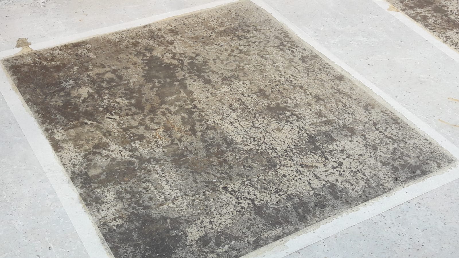 One-component polyurethane primer PolyPrime AST 101, 15 kg Admix — Buy ...